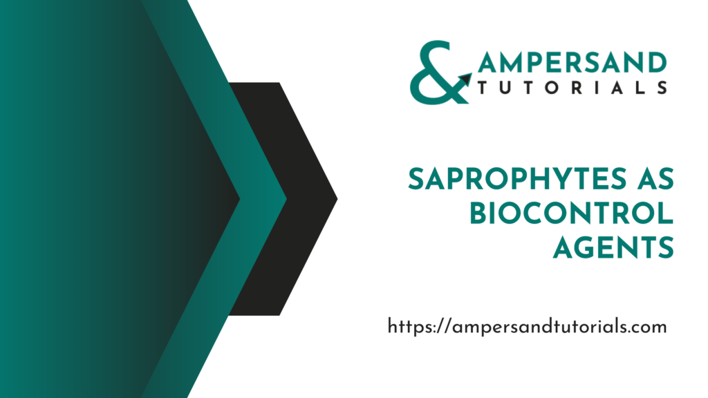Saprophytes as Biocontrol Agents - Ampersand Tutorials
